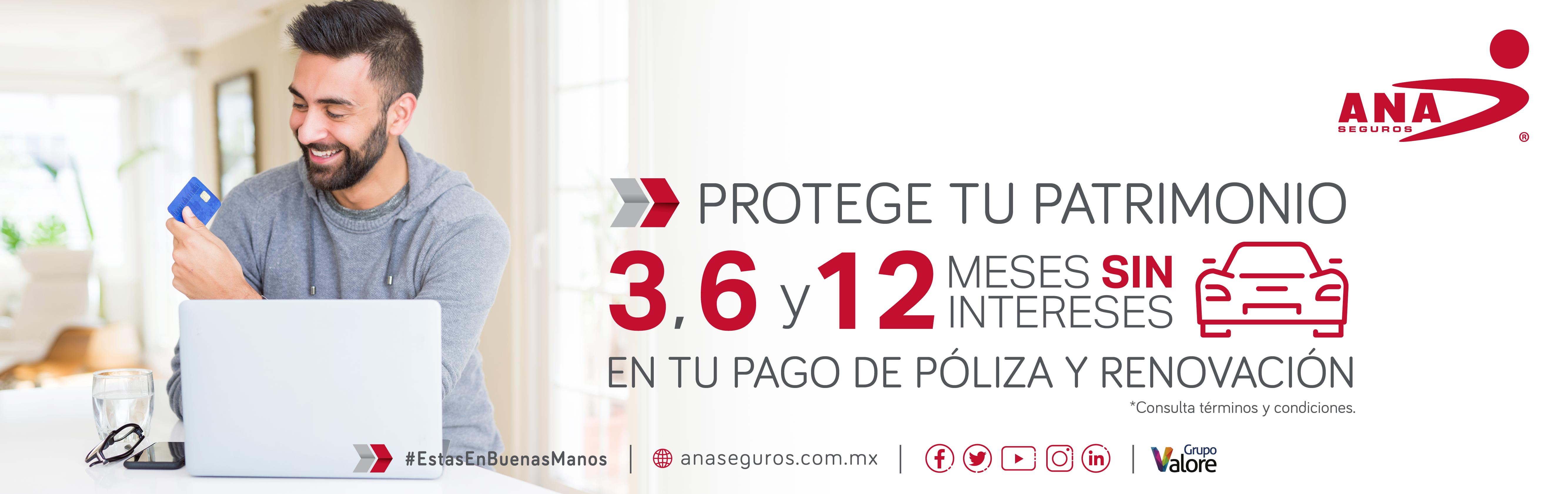 ANA SEGUROS